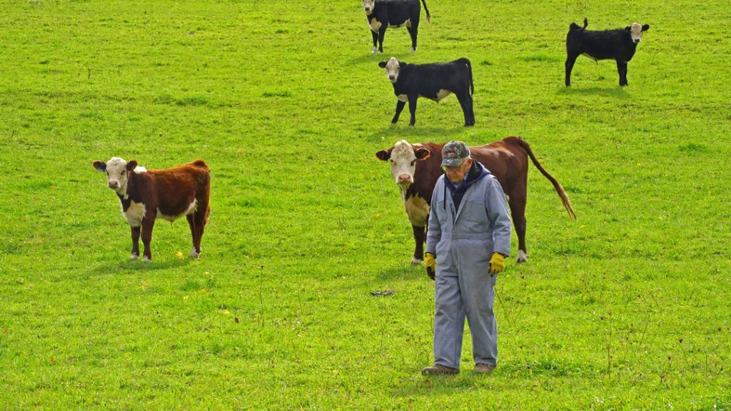 Heyler Reflects on Years of Service to Agriculture – Positively ...